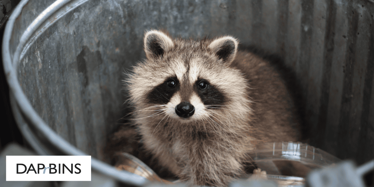 What Happens If You Don’t Clean Your Trash Bins? (Hint: It’s Gross ...